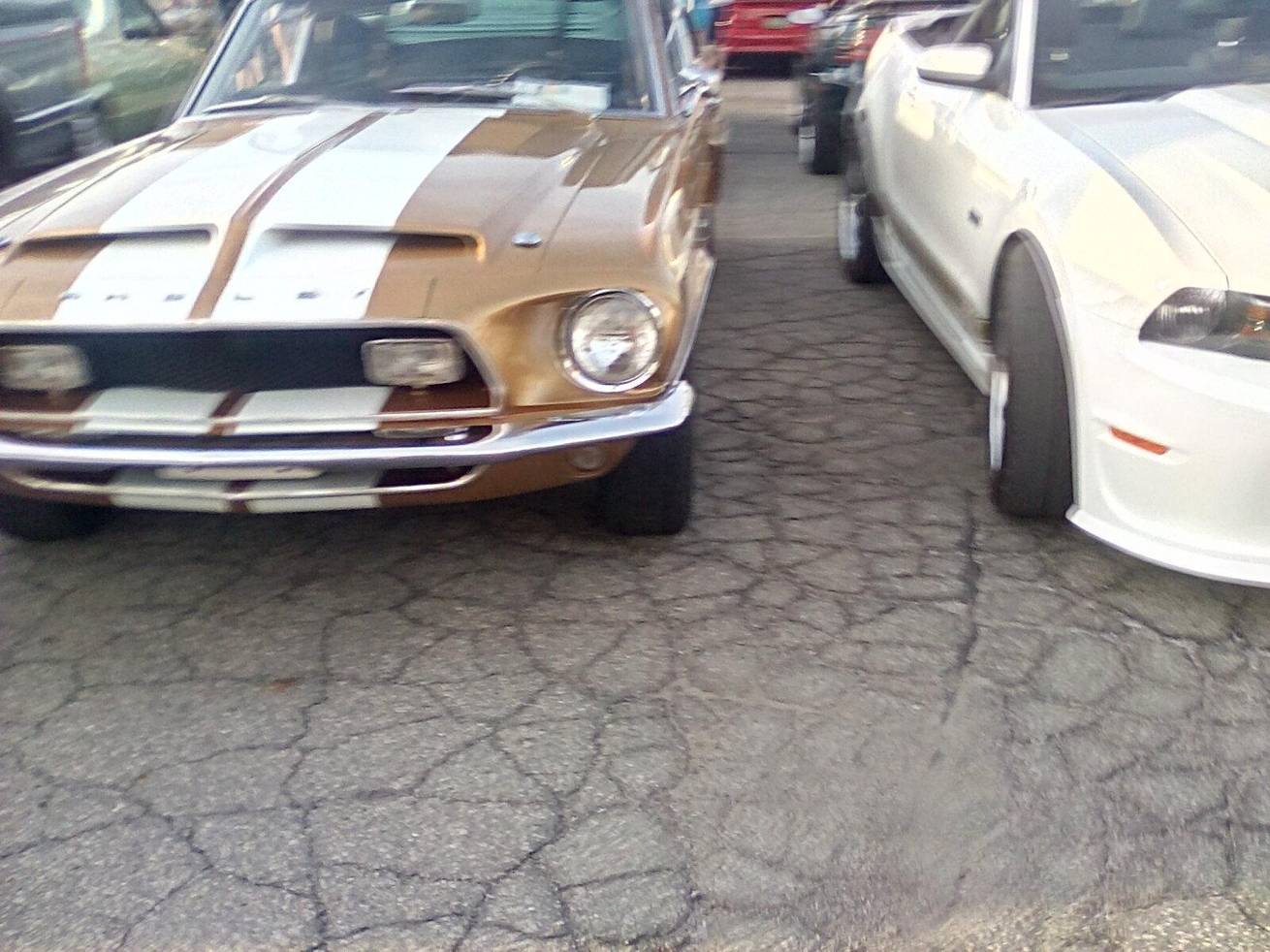Ford Mustang Discussion Board - Cars & Bids