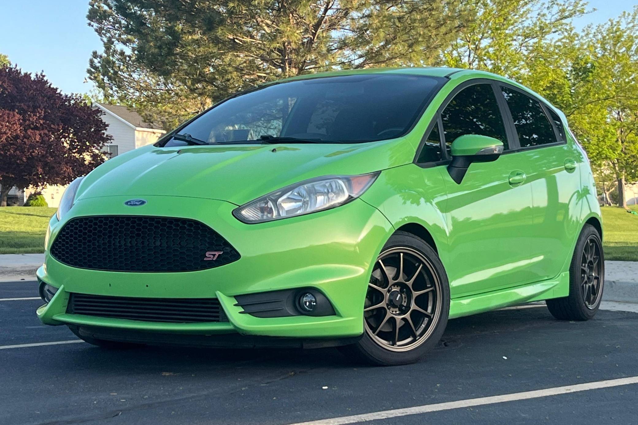 Green Fiesta St