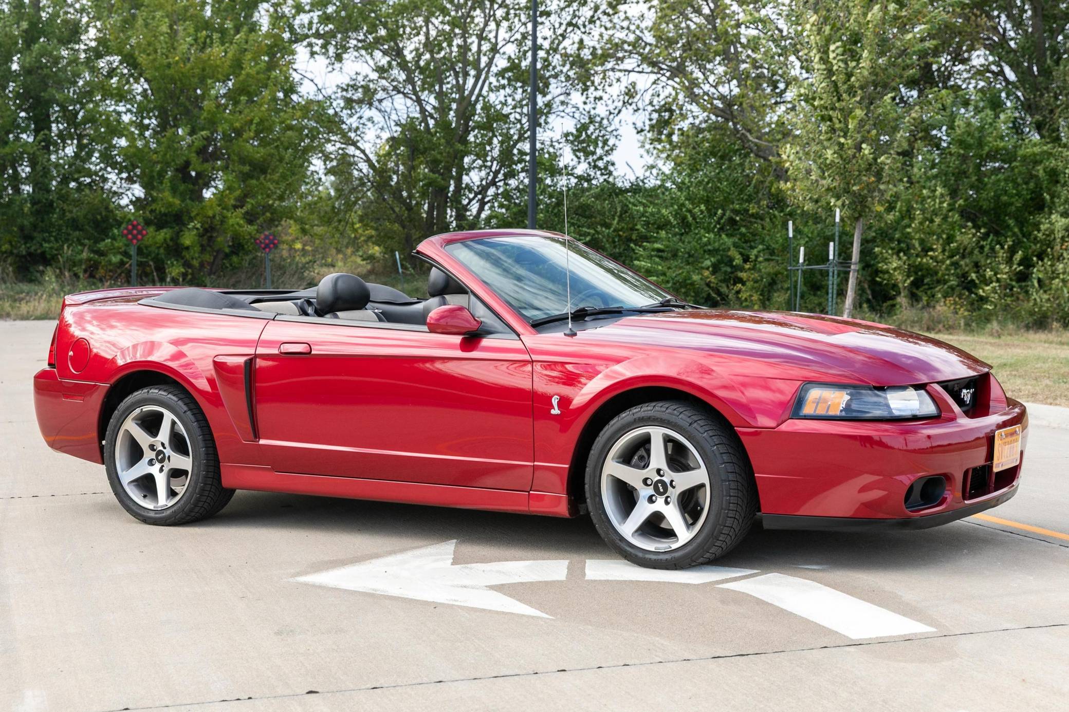 2003 Ford Mustang SVT Cobra Convertible VIN: 1FAFP49Y53F395290 for Sale ...