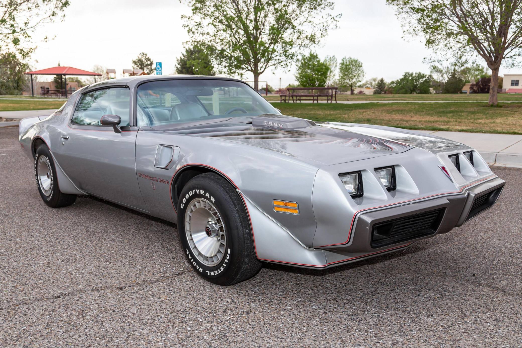 1979 Pontiac Firebird Trans Am 10th Anniversary Edition VIN ...