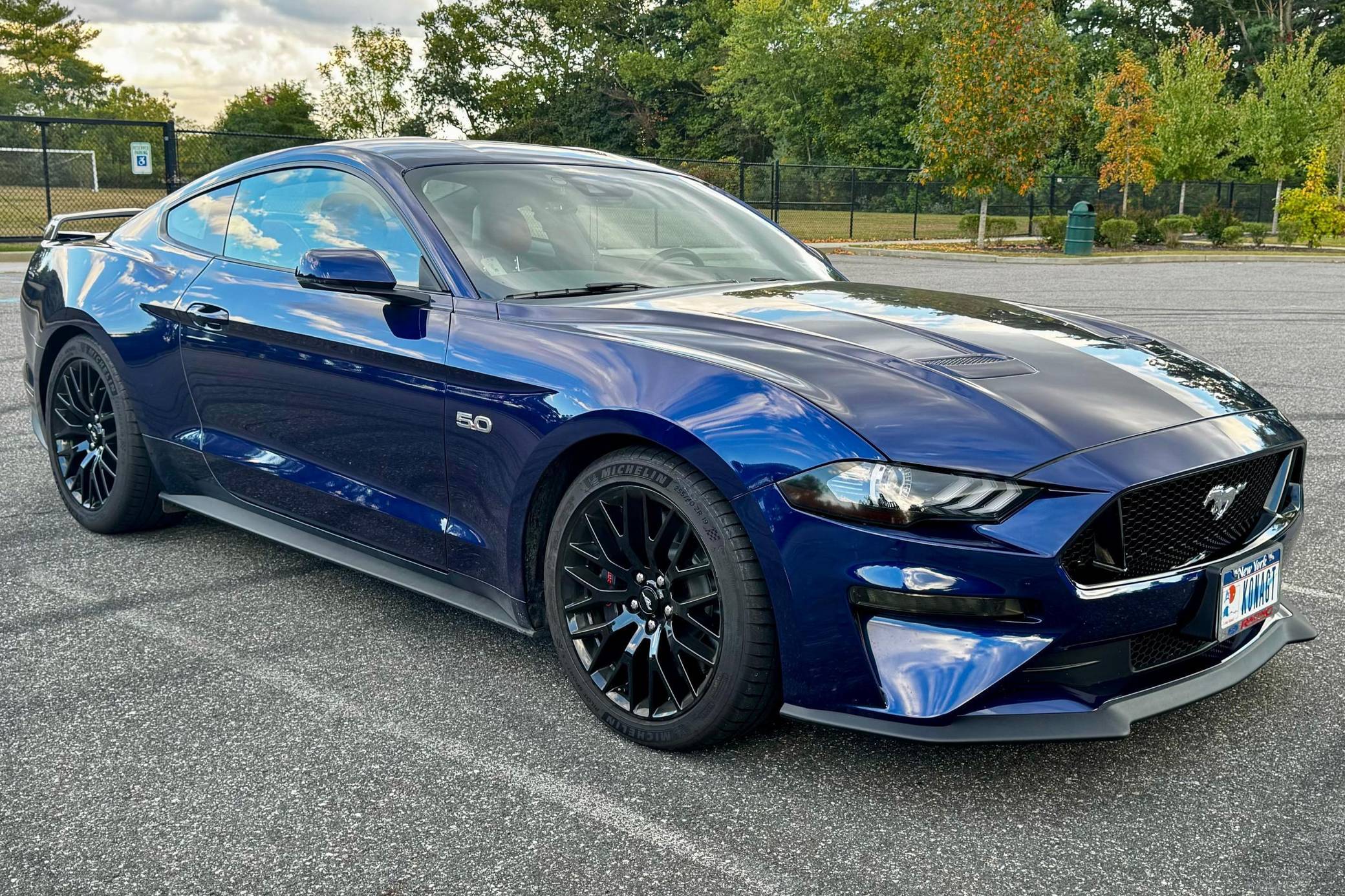 Cobalt Blue Mustang