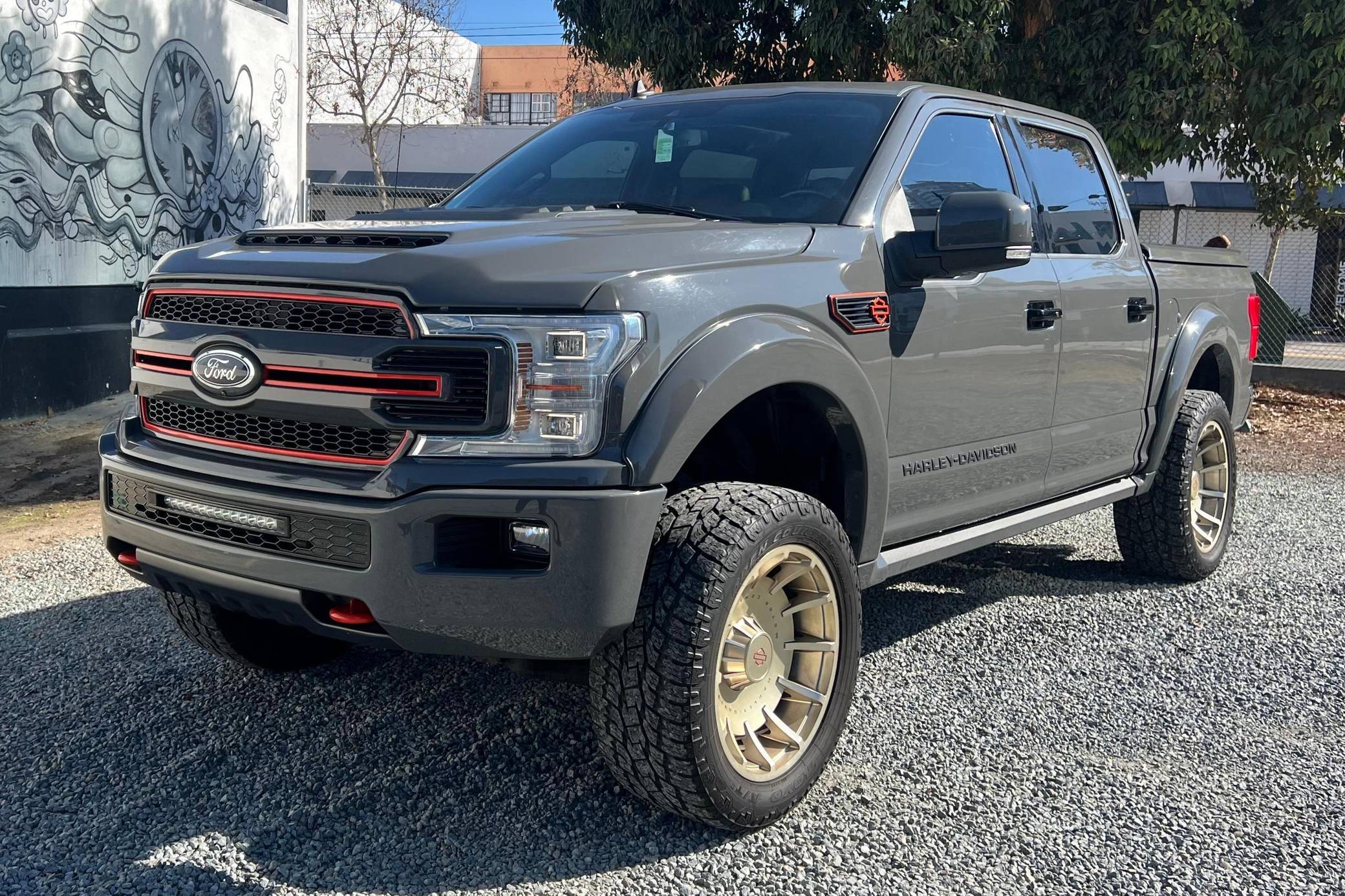 2019 Ford F-150 Harley-Davidson Edition 4x4 VIN: 1FTEW1E53KKC78784 for ...