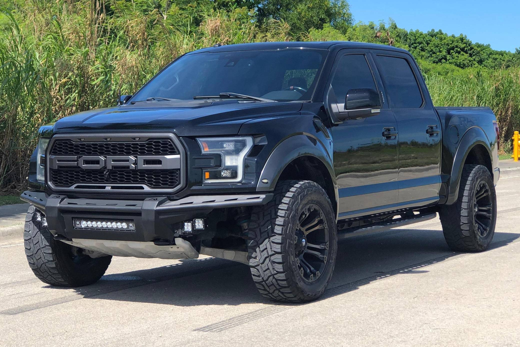 2017 Ford F-150 Raptor VIN: 1FTFW1RG5HFA82248 for Sale - Cars & Bids