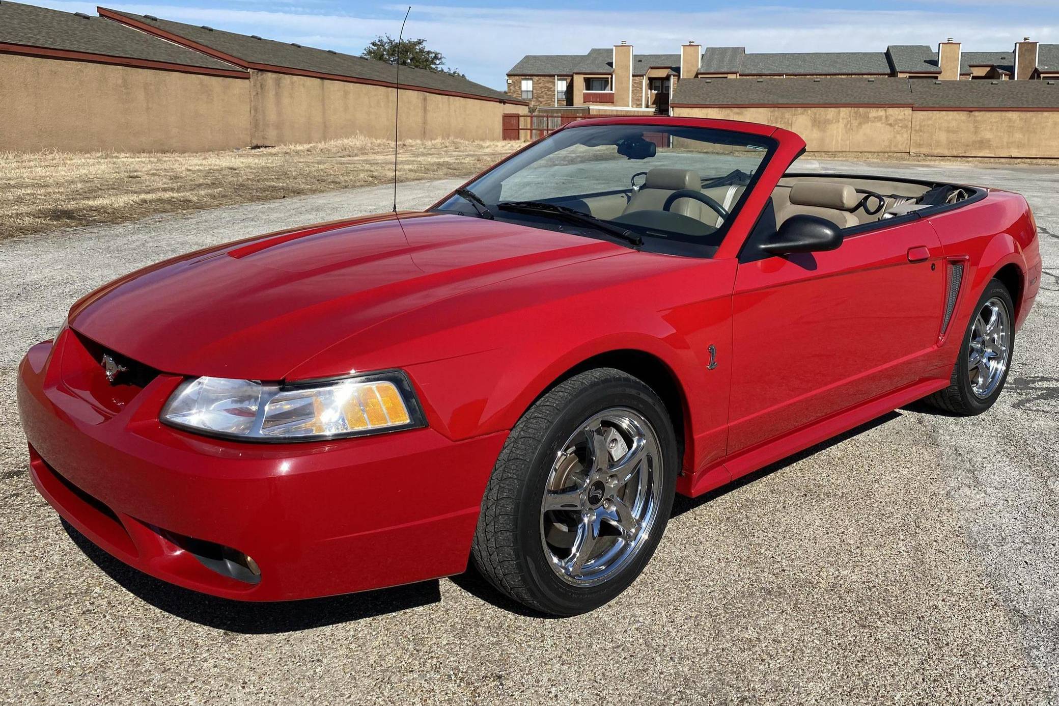 1999 Ford Mustang SVT Cobra Convertible for Sale - Cars & Bids
