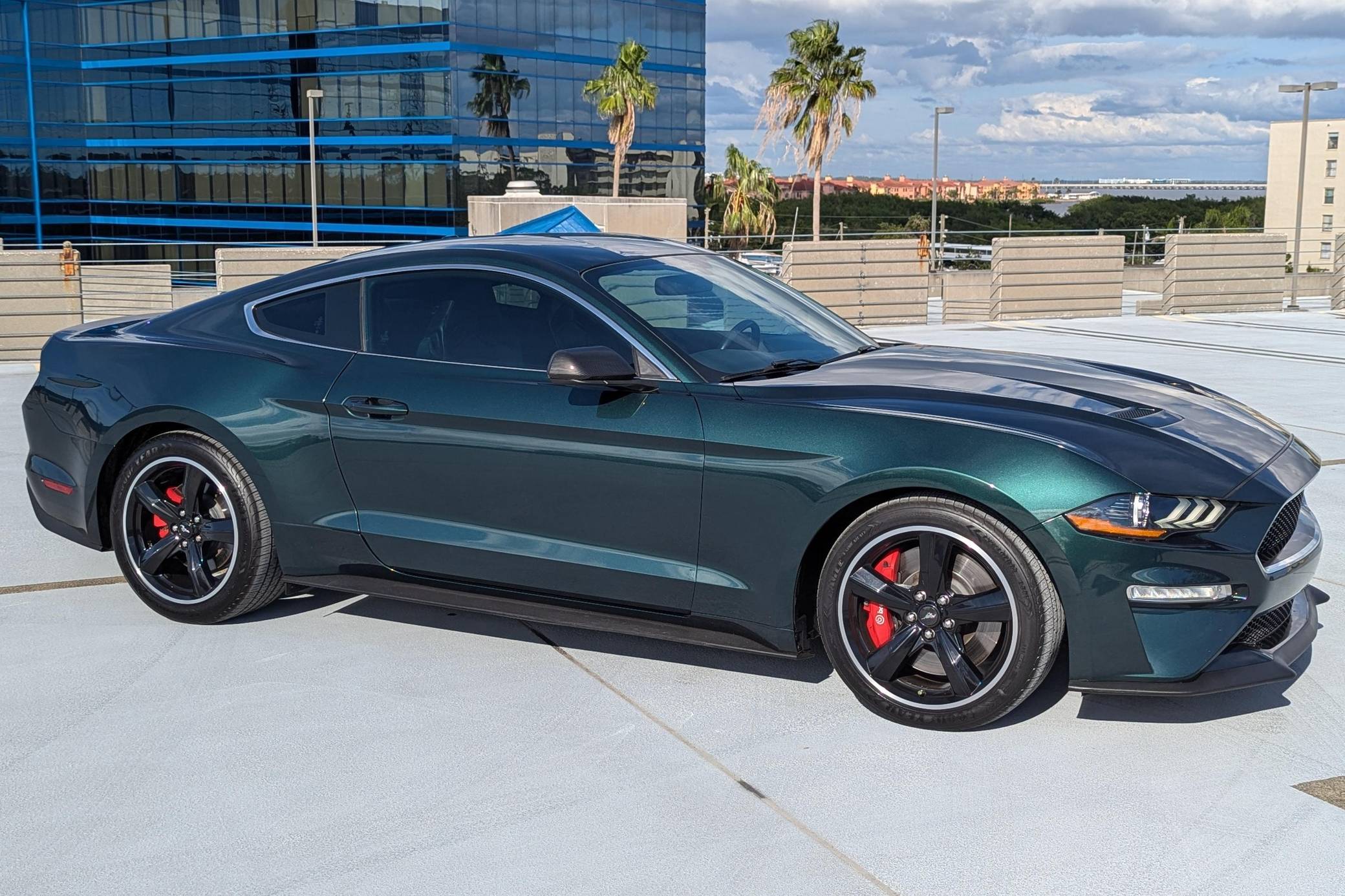 2019 Ford Mustang Bullitt VIN: 1FA6P8K05K5503018 for Sale - Cars & Bids
