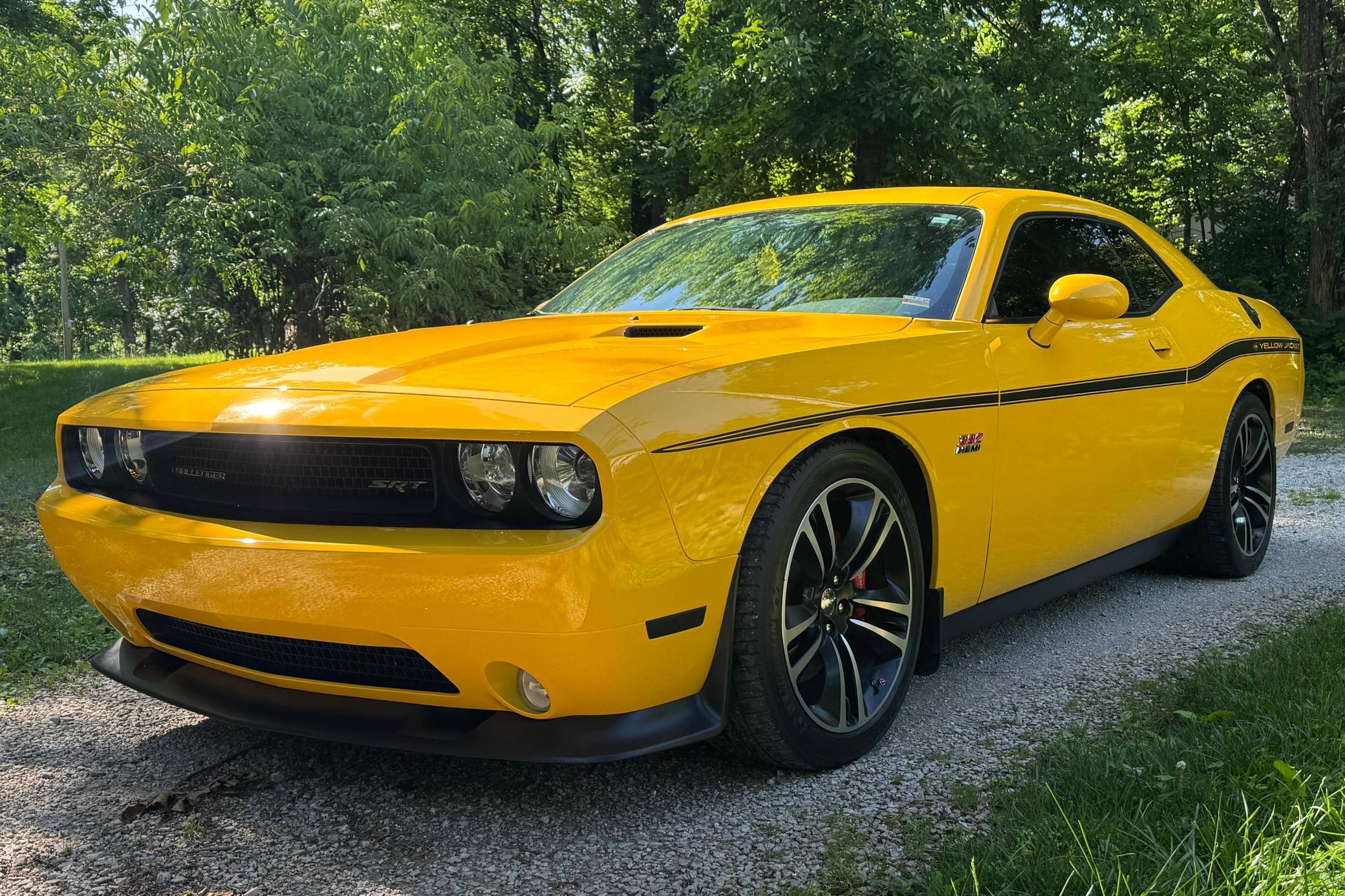 Dodge Yellow Jacket Logo