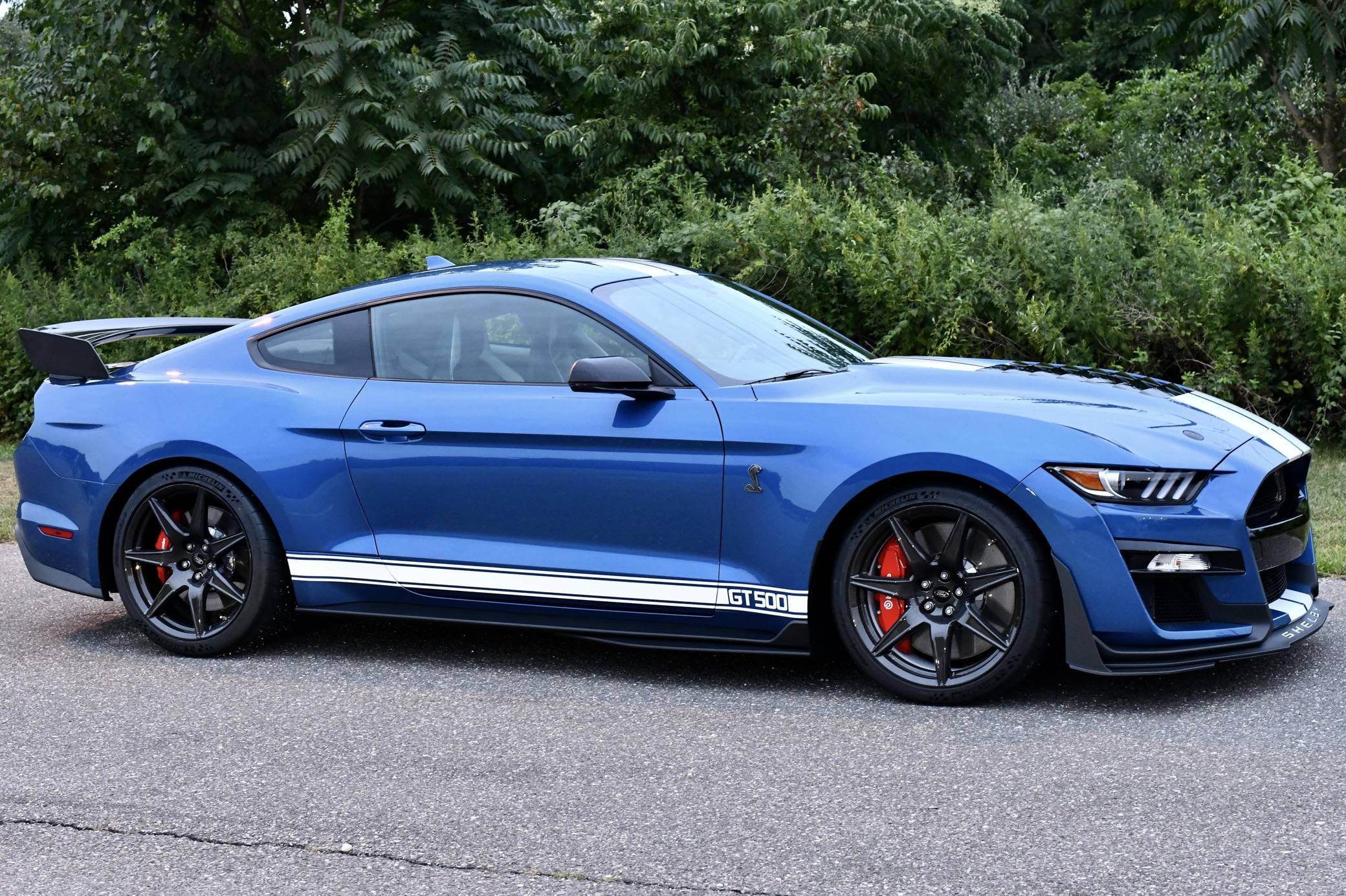2021 cobra mustang store