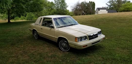 1986 Dodge 600 Coupe auction - Cars & Bids