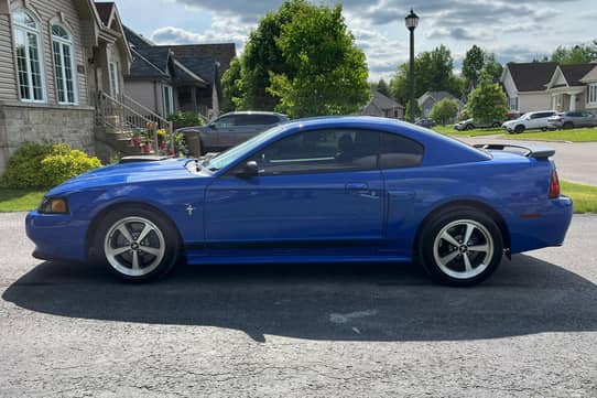2003 Ford Mustang Mach 1 VIN: 1FAFP42R43F378502 for Sale - Cars & Bids