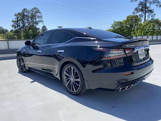 2020 Nissan Maxima Platinum Reserve auction - Cars & Bids
