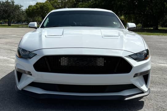 2019 Ford Mustang GT Coupe VIN: 1FA6P8CF0K5146981 for Sale - Cars & Bids
