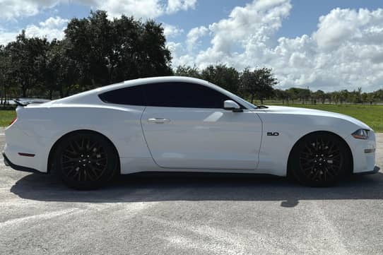 2019 Ford Mustang GT Coupe VIN: 1FA6P8CF0K5146981 for Sale - Cars & Bids