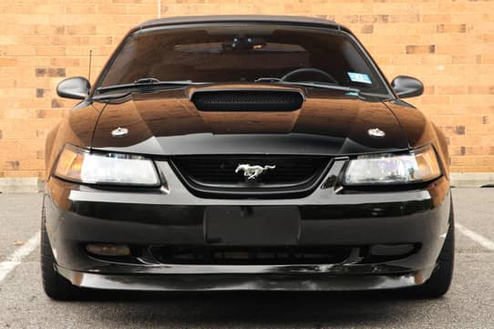 2004 Ford Mustang GT Convertible for Sale - Cars & Bids