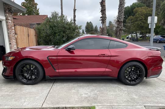 2017 Ford Mustang Shelby GT350 for Sale - Cars & Bids