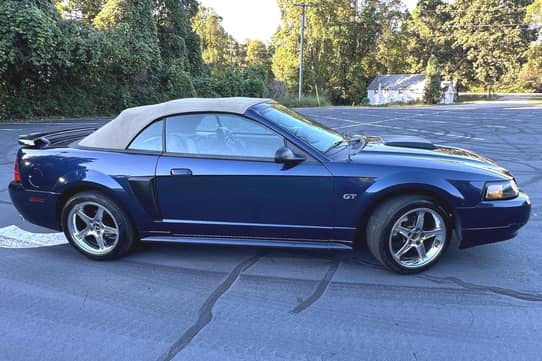 2001 Ford Mustang GT Convertible VIN: 1FAFP45X61F253685 for Sale - Cars ...