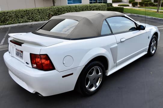 1999 Ford Mustang GT Convertible for Sale - Cars & Bids