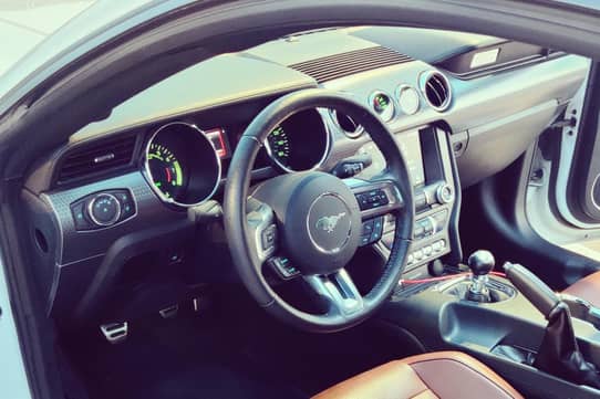 2017 Ford Mustang GT Coupe for Sale - Cars & Bids