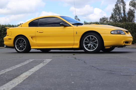1997 Ford Mustang SVT Cobra Coupe for Sale - Cars & Bids