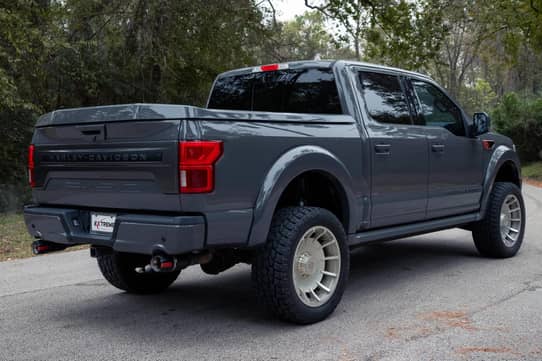 2020 Ford F-150 Harley-Davidson Edition 4x4 VIN: 1FTEW1E50LFA62823 for ...