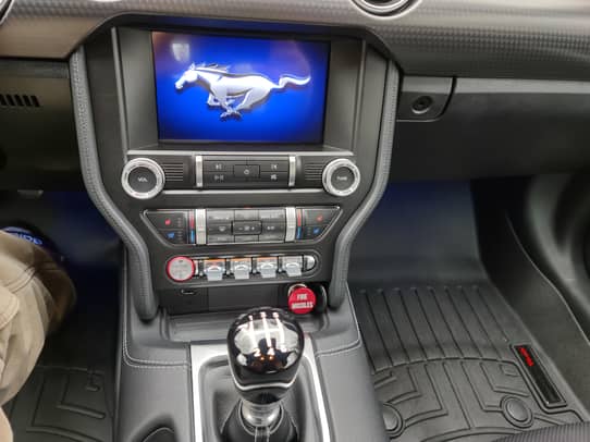2020 Ford Mustang GT Coupe auction - Cars & Bids