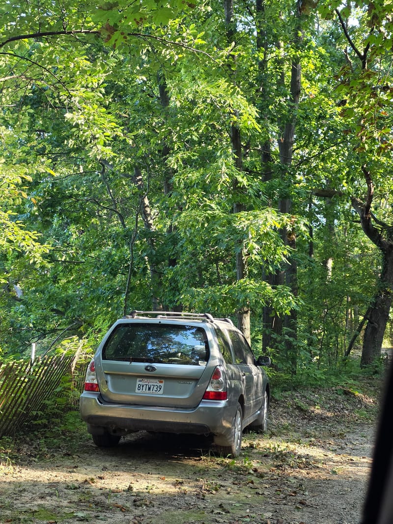Subaru Forester in a forest. in the Carspotting Community