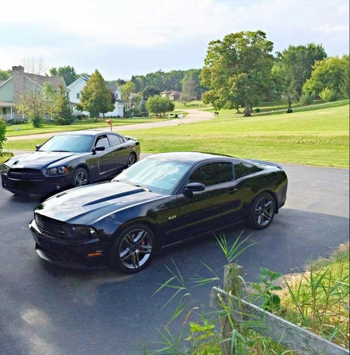 I_Only_Drive_V8's profile