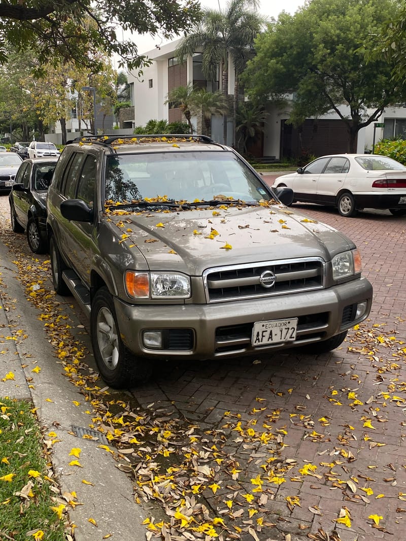 90’s Pathfinders in the Carspotting Community