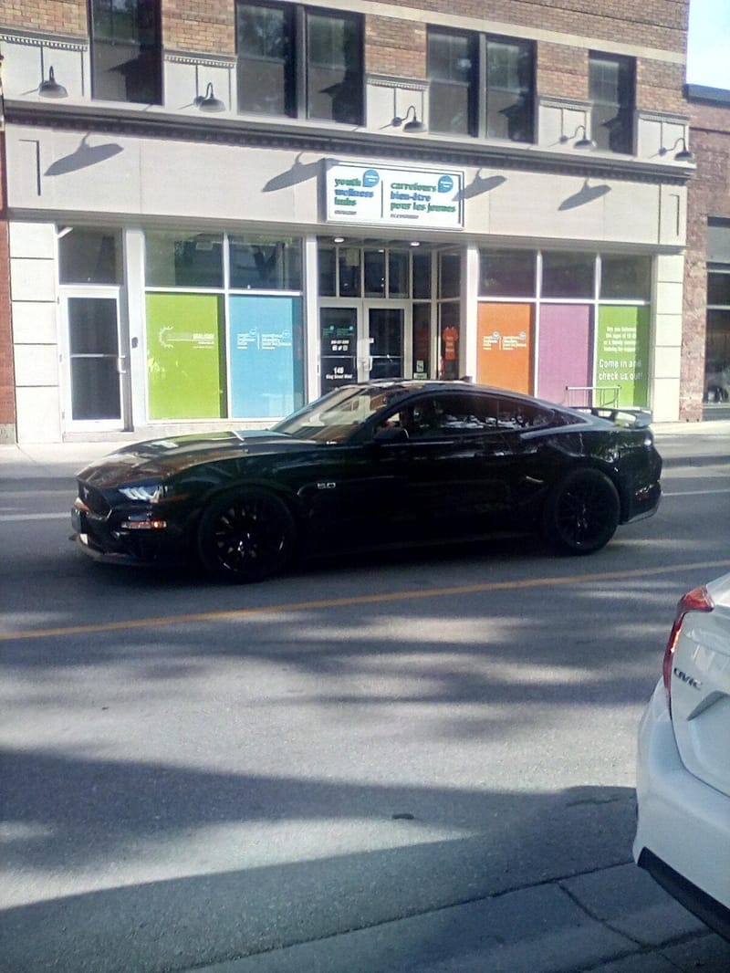 A few mustangs i seen in the Ford Mustang Community